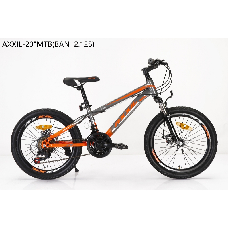 Jual SEPEDA GUNUNG SEPEDA MTB UKURAN 20 INCH REM CAKRAM | Shopee Indonesia
