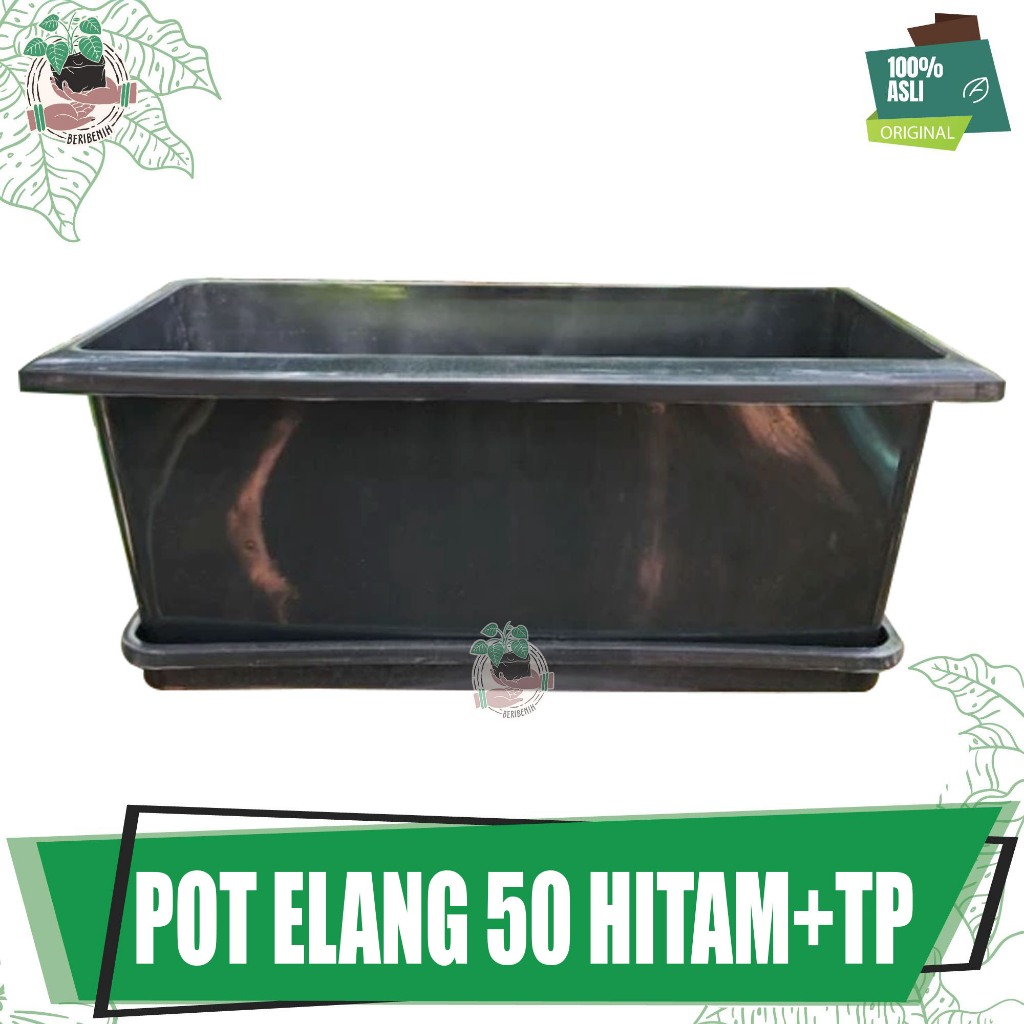 Jual POT TANAMAN HIAS PANJANG BUNGA ELANG 50 + TATAKAN BAWAH POT ...