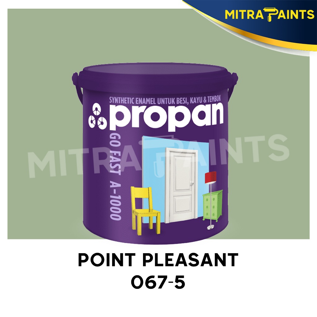 Jual CUSTOM WARNA PROPAN GO FAST 2,5 LITER POINT PLEASANT 067-5 / CAT KAYU BESI PROPAN ...