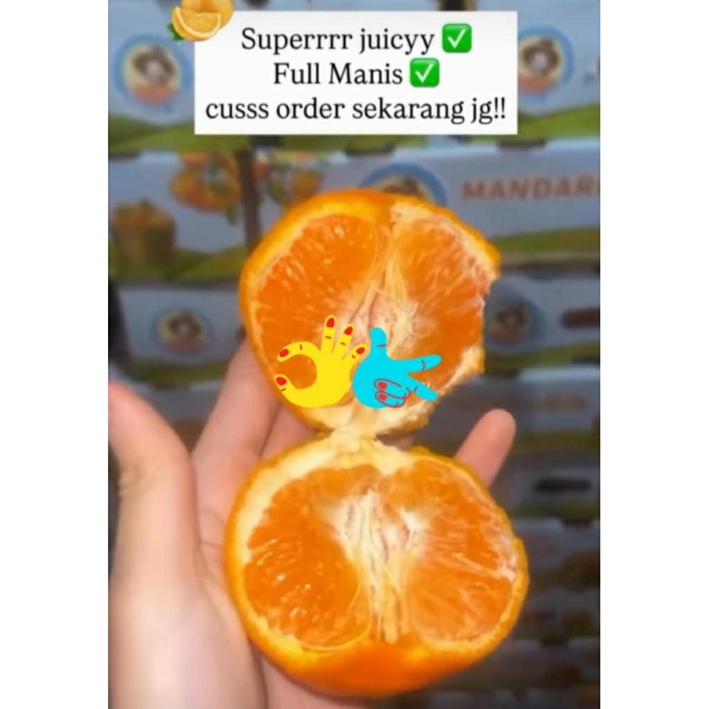 Jual jeruk wogan mandarin full manis 5kg dus | Shopee Indonesia