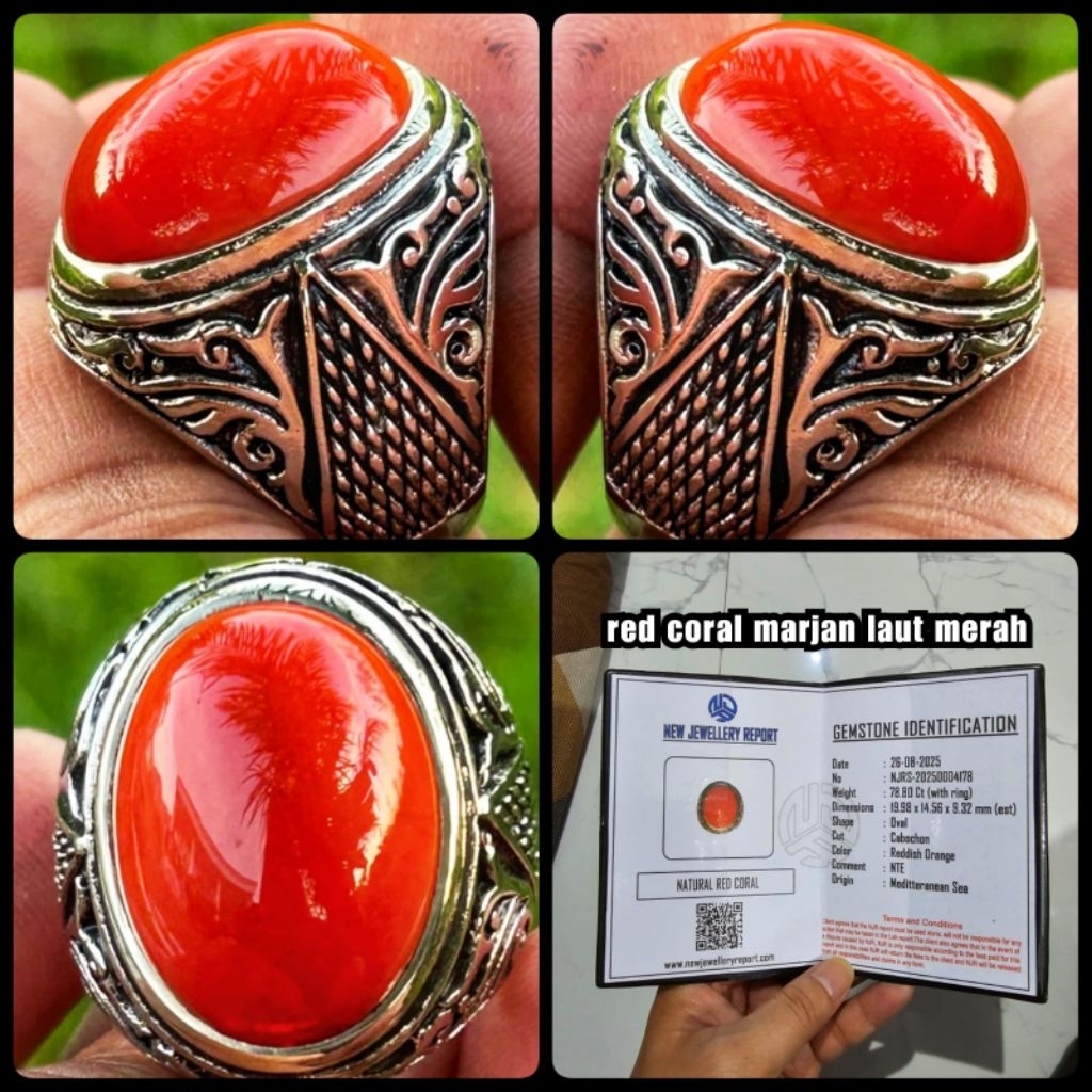 Jual natural marjan merah kelas kontes jumbo asli laut merah | Shopee ...