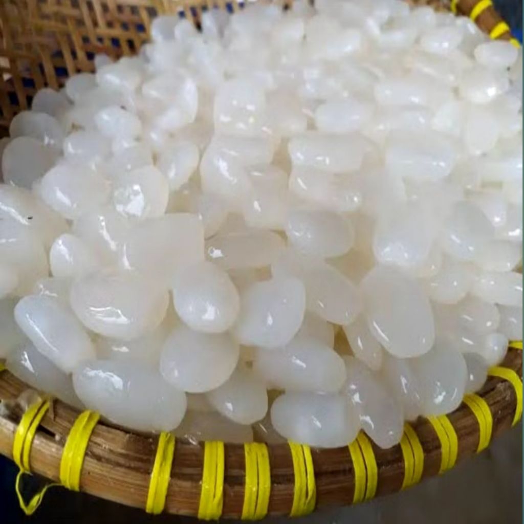 Jual Kolang kaling segar 1kg bersih 100% kenyal bahan manisan fresh ...