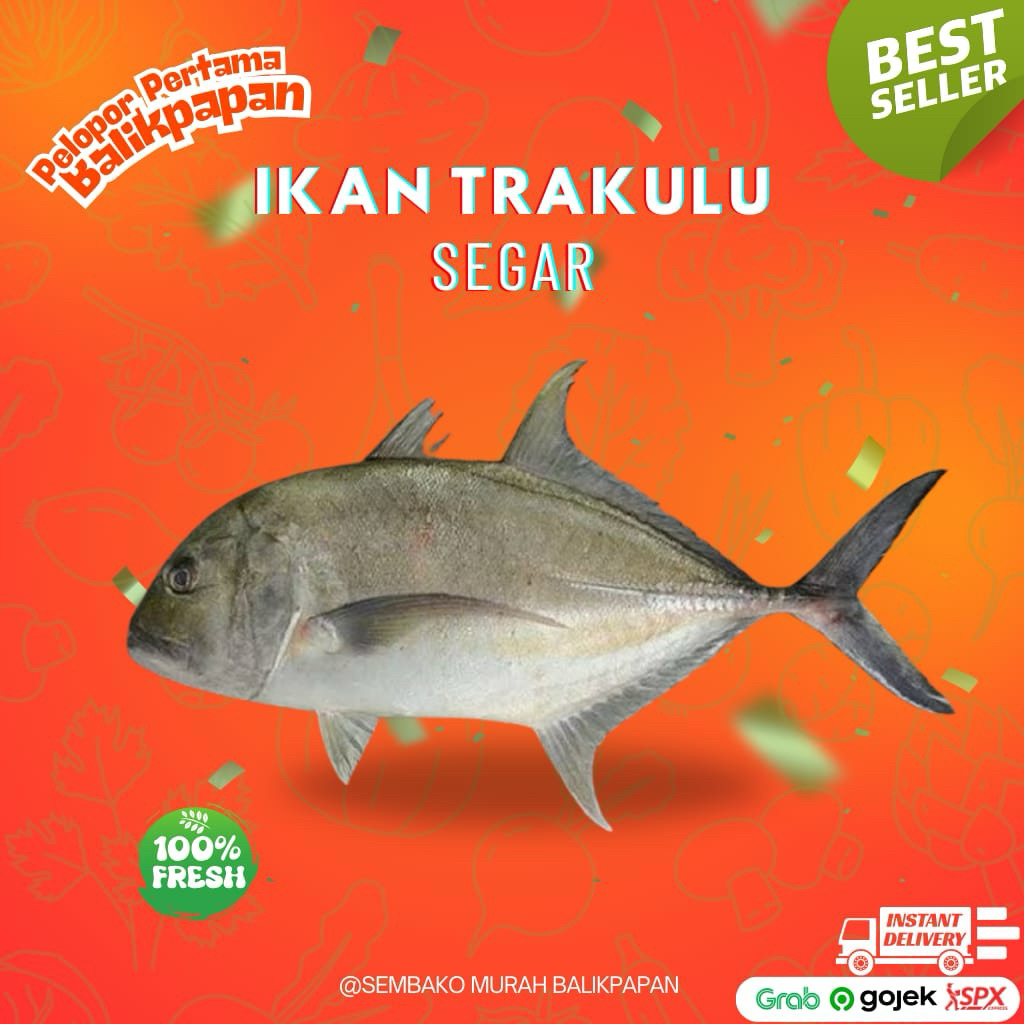 Jual ikan trakulu 1 kg | Shopee Indonesia
