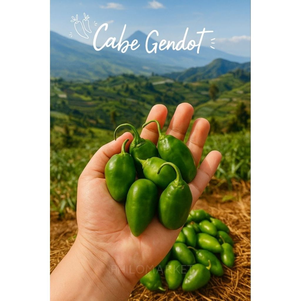 Jual Cabe Gendot Hijau 500 gram Segar Langsung Petani | Shopee Indonesia