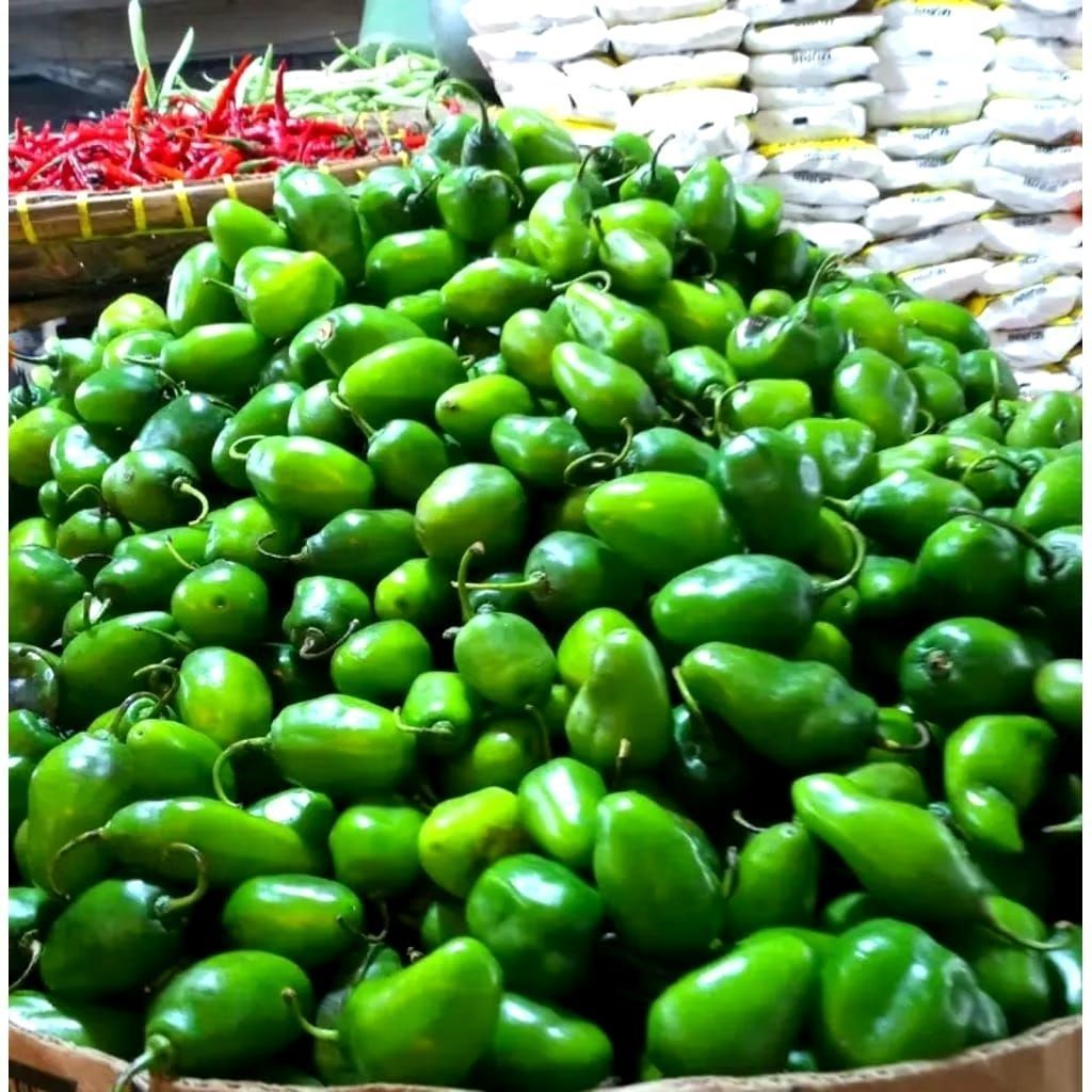 Jual Cabe Gendot Hijau 500 gram Segar Langsung Petani | Shopee Indonesia