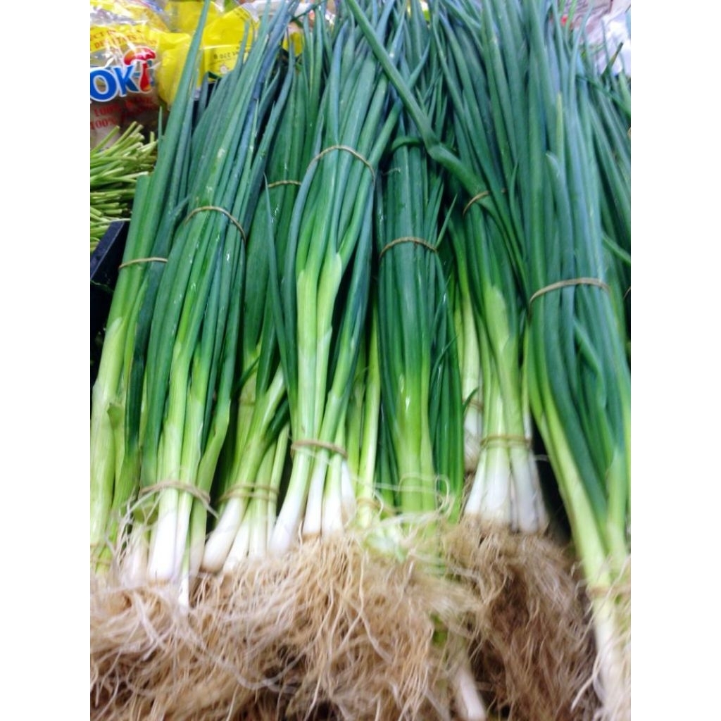 Jual Bawang Prei Terlengkap & Harga Terbaru Mei 2026 | Shopee Indonesia
