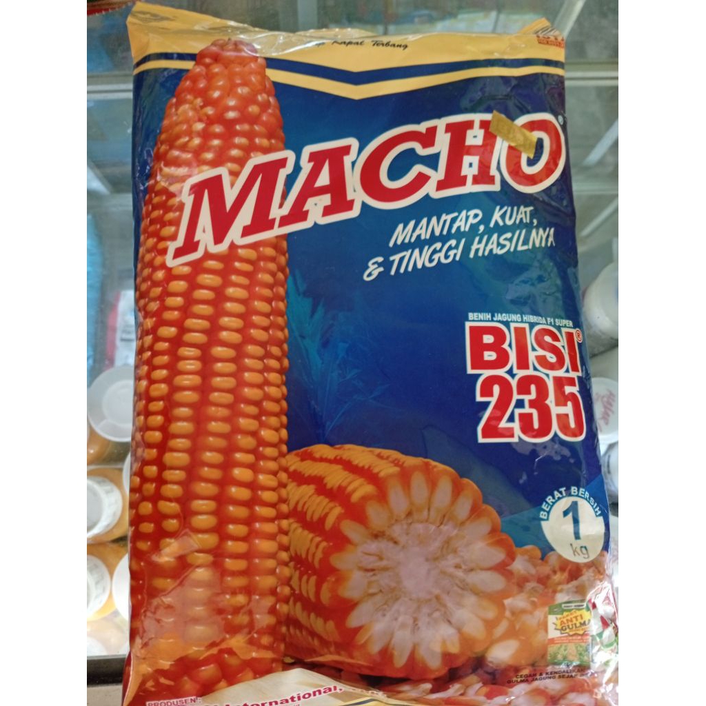 Jual BENIH JAGUNG BISI 235 MACHO 1 KG | Shopee Indonesia