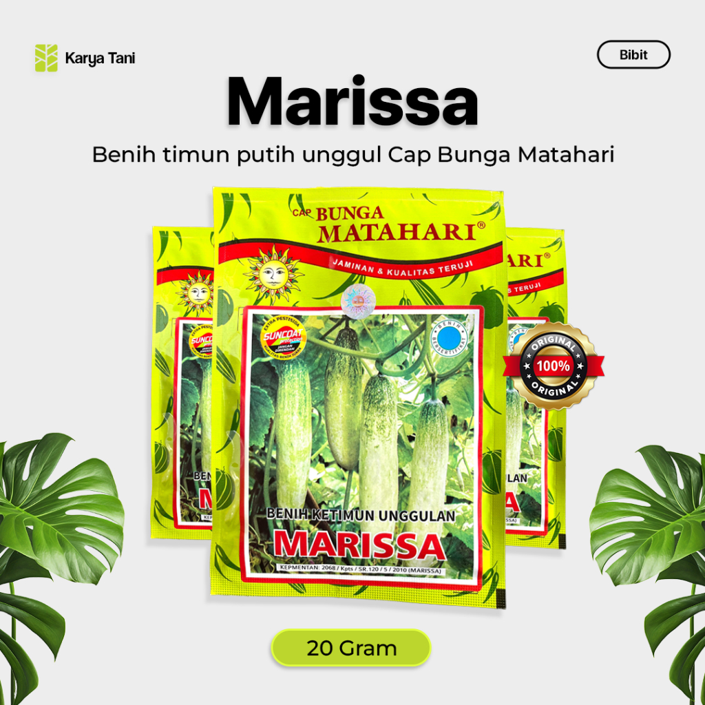 Jual BENIH TIMUN PUTIH UNGGUL MARISSA 20 GRAM CAP BUNGA MATAHARI ...