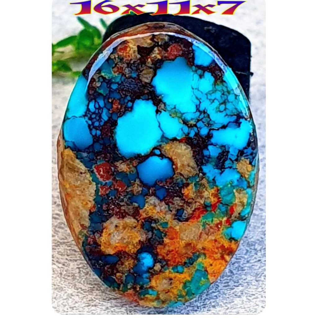 Jual natural pirus Persia | Shopee Indonesia