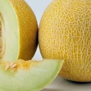 Jual Melon utuh ukuran 2kg -3kg | Shopee Indonesia