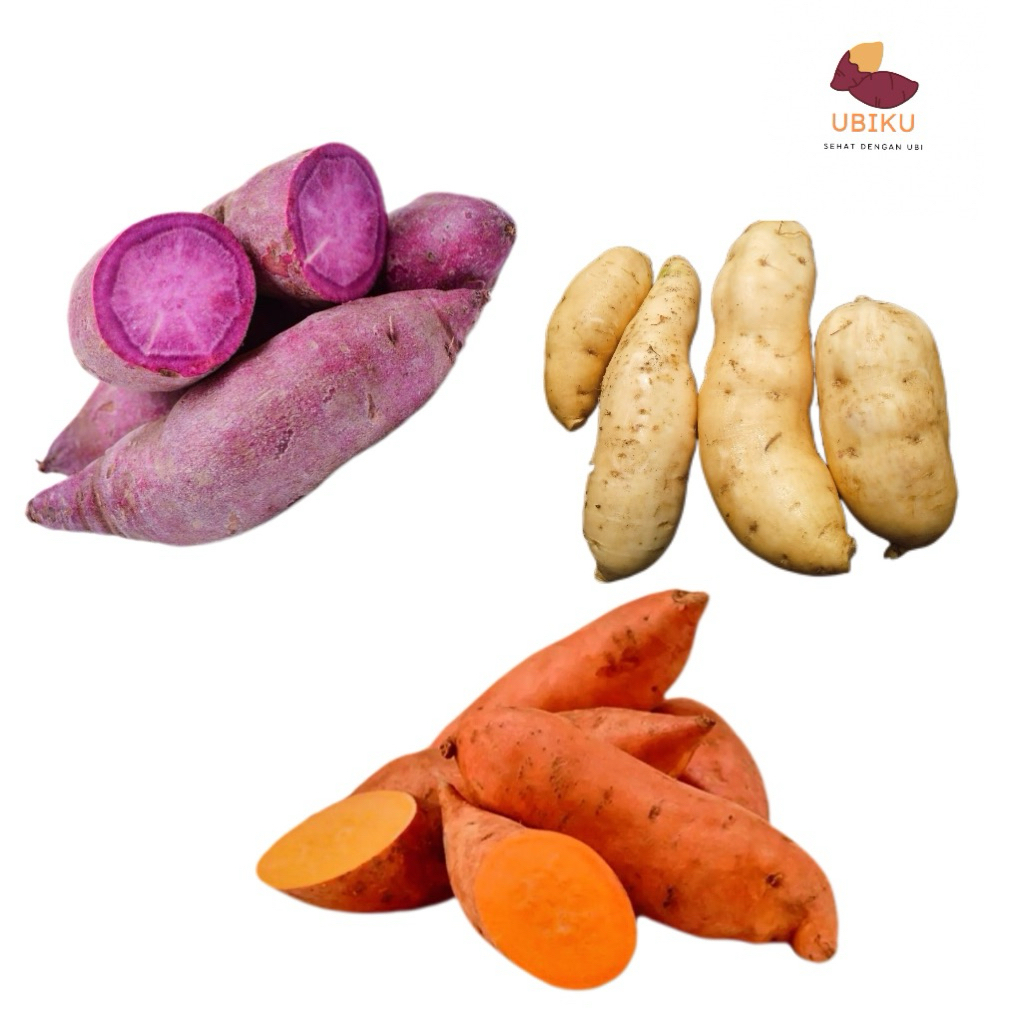 Jual ubi jalar ungu, ubi madu cilembu, ubi jalar oranye, (mix) campur | Shopee Indonesia