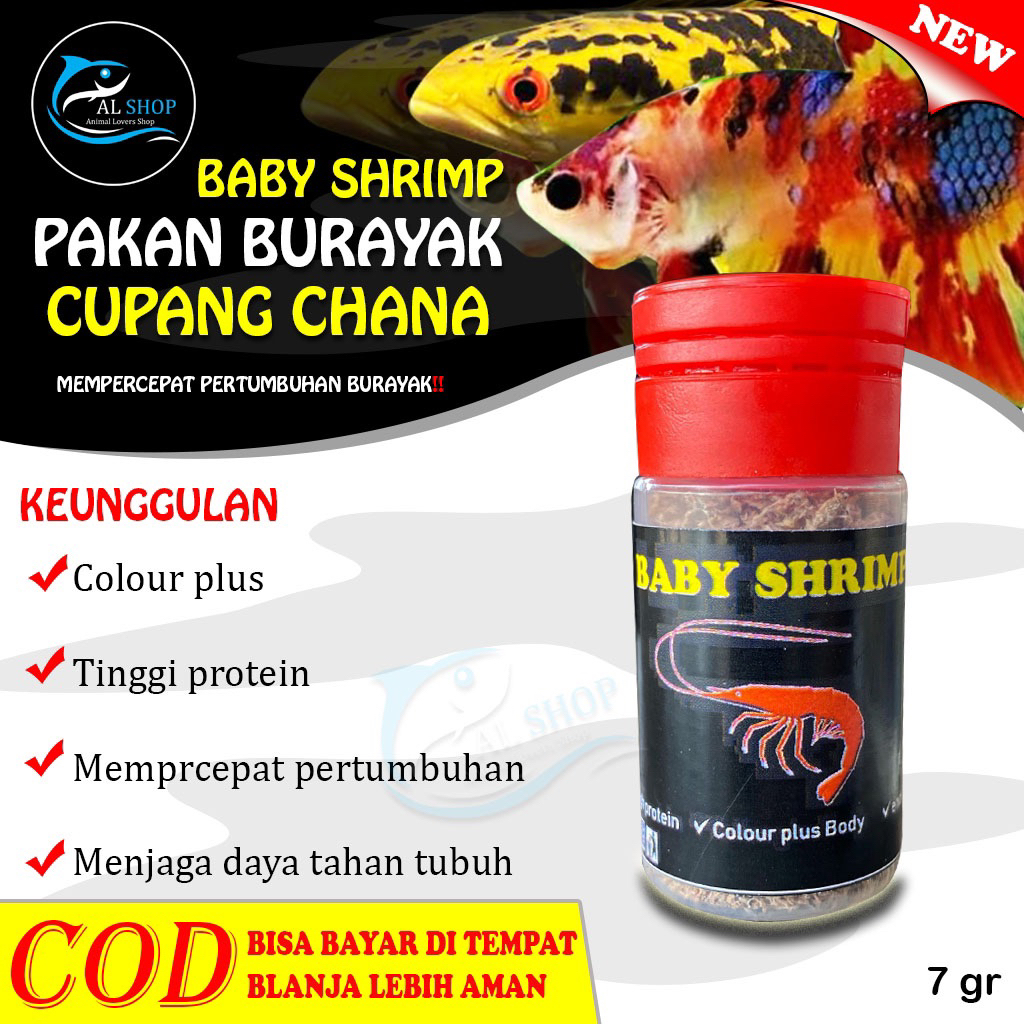 Jual baby shrimp udang mini pakan ikan hias cupang guppy | Shopee Indonesia