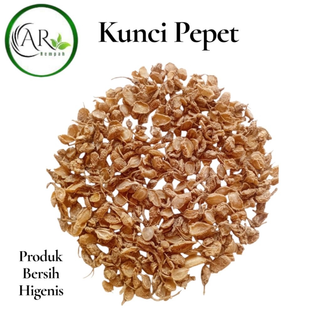 Jual Kunci Pepet Kering Grade A 1Kg/Temu Gombyok Kering 1Kg | Shopee ...