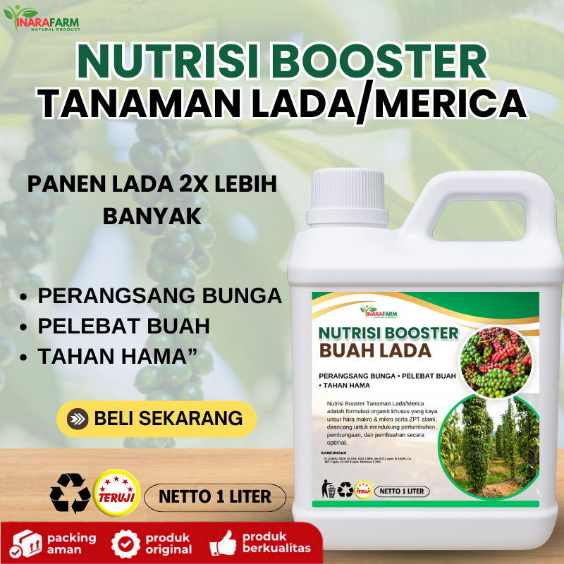 Jual NUTRISI BOOSTER tanaman lada/Pupuk pelebat buah lada/Pupuk ...