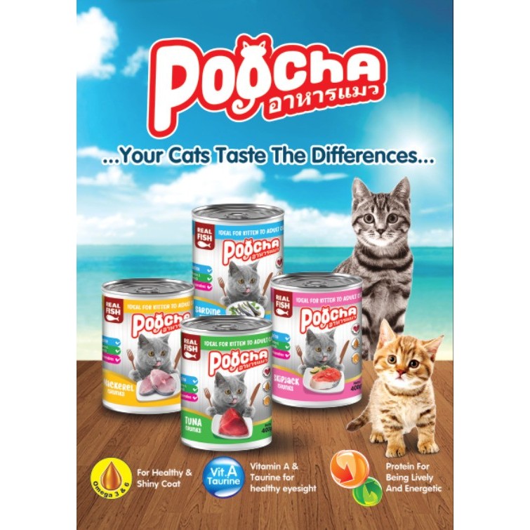 Jual POOCHA MAKANAN KUCING KALENG 400 GRAM REAL FOOD WET FOOD POCHA ...