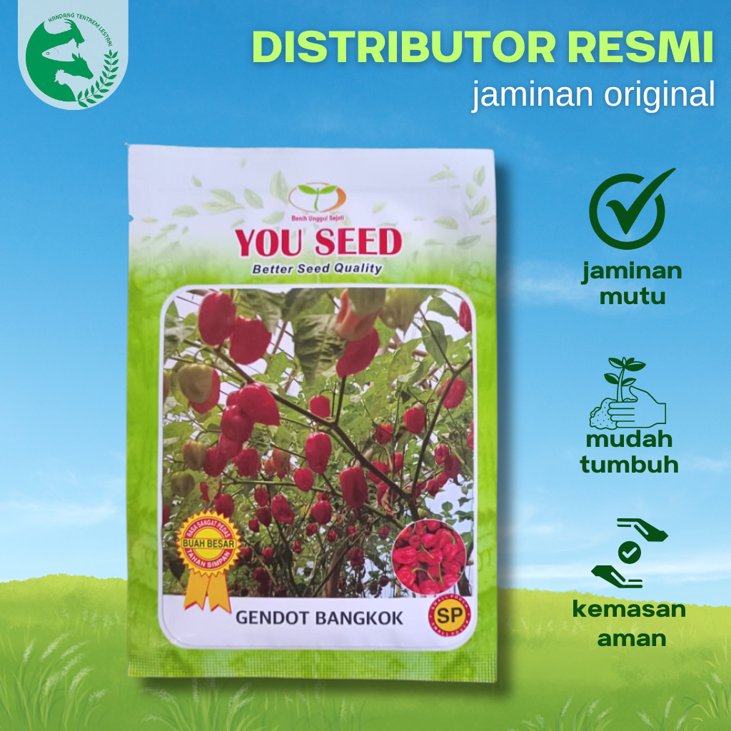 Jual Benih Cabe GENDOT BANGKOK 250 Seed Cap You Seed Tahan Penyakit ...