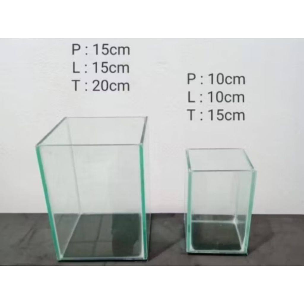 Jual SOLITER IKAN CUPANG KACA 15*15*20/ 10*10*15 TEMPAT BABY CHANA ...