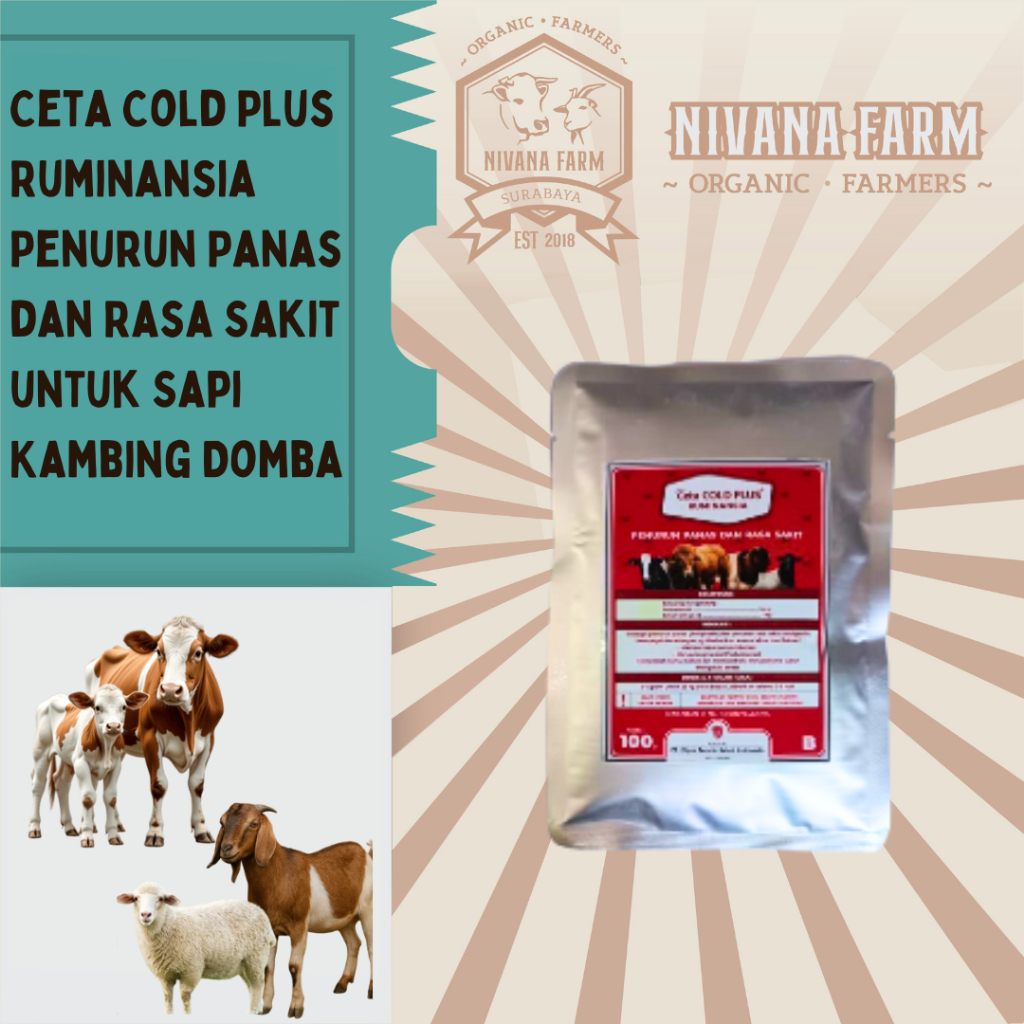 Jual Ceta Cold Plus Ruminansia Obat Demam Sapi Kambing Domba Babi dan ...