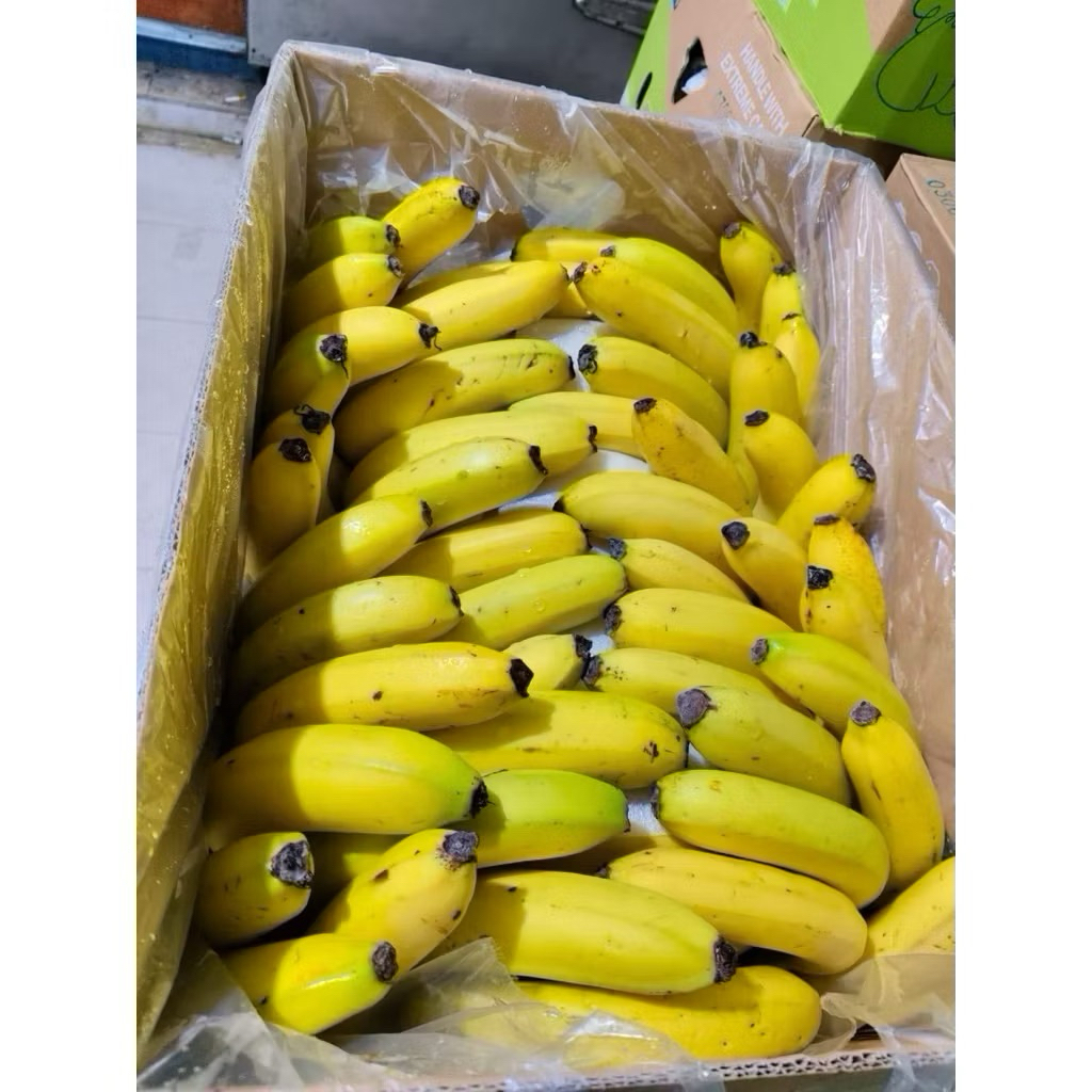 Jual Pisang Sunpride Super / Pisang Cavendish Sunpride 5kg/ Box ...