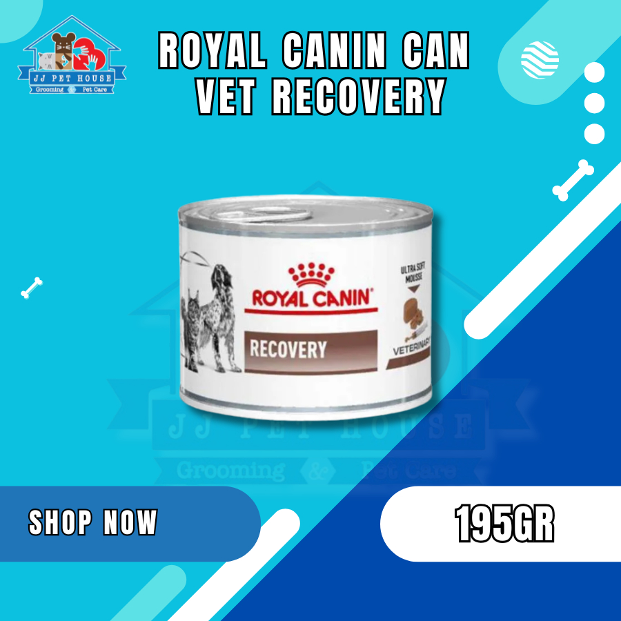 Jual ROYAL CANIN CAN VET RECOVERY (195gr) MDT3535 | Shopee Indonesia