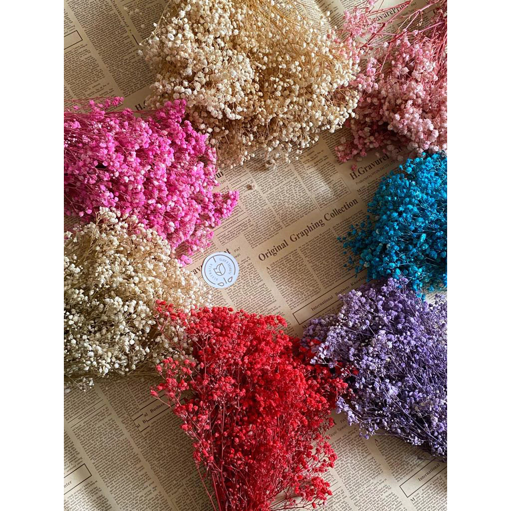 Jual 100 Gram Baby Breath Preserved Bunga Kering Awetan Dried Flower ...