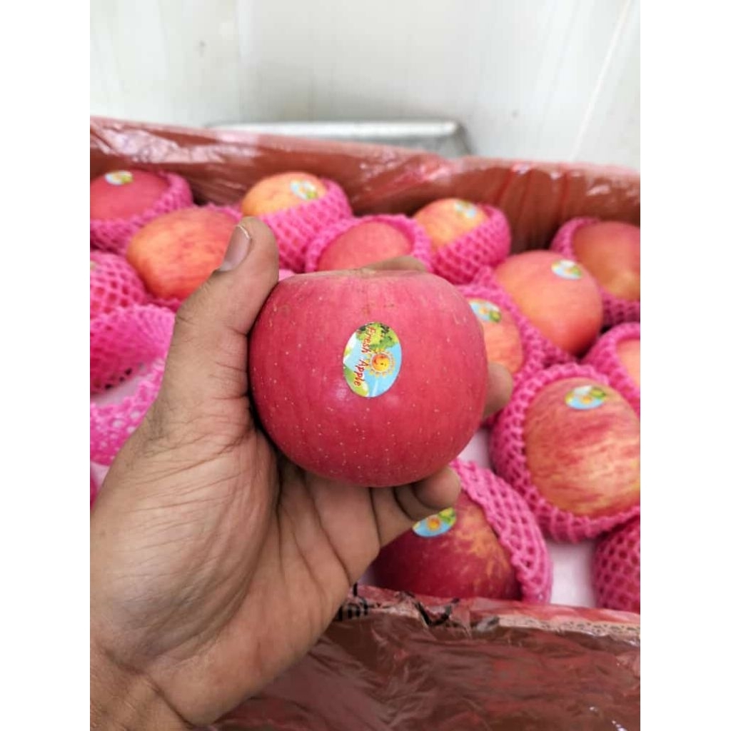 Jual Buah Apel Fuji Fresh 1kg | Shopee Indonesia
