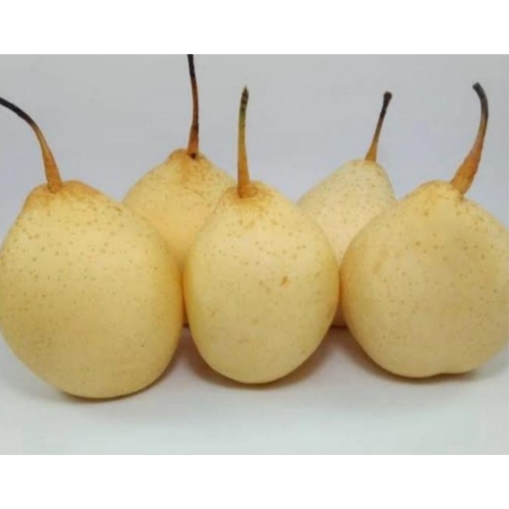 Jual Andira Fresh | Pear Yalie segar | Shopee Indonesia