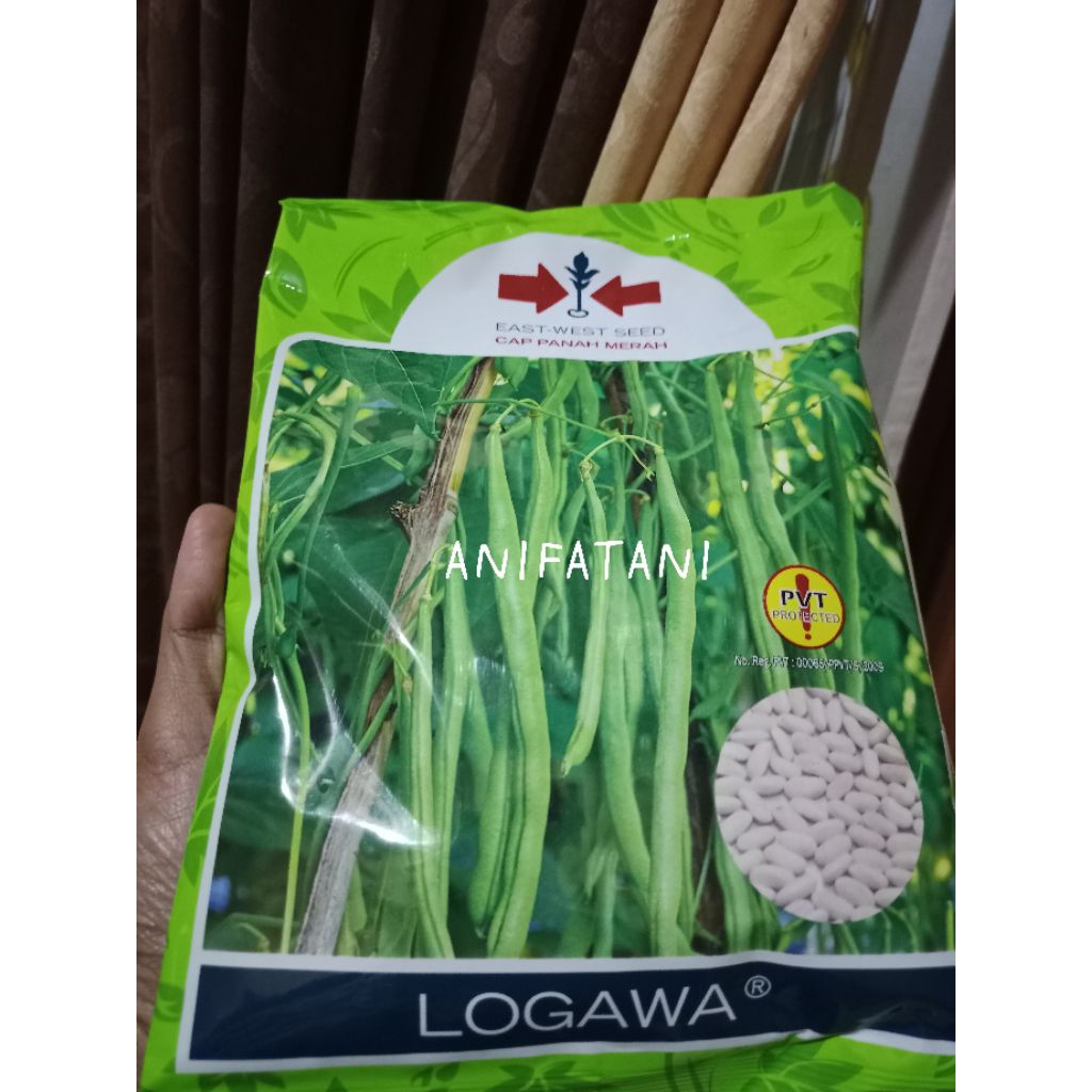 Jual benih buncis LOGAWA 500gram | Shopee Indonesia
