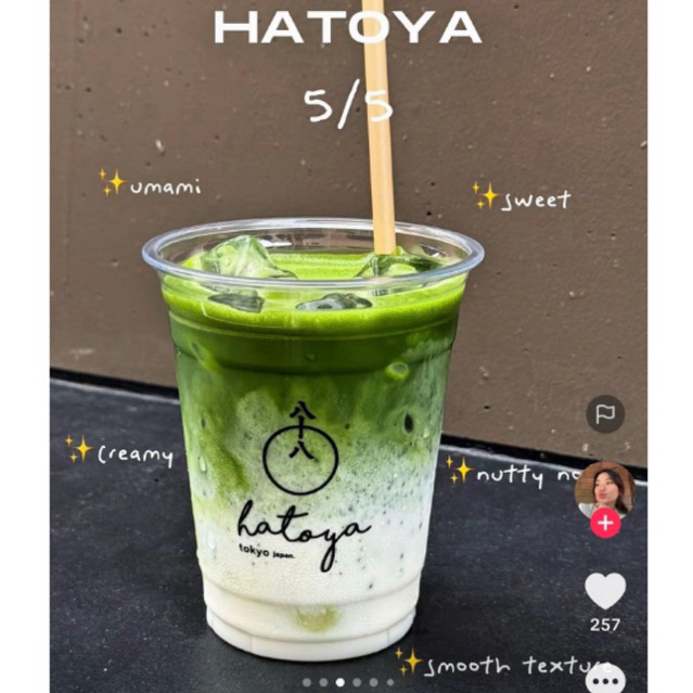 Jual READY Hatoya matcha powder japan | Shopee Indonesia