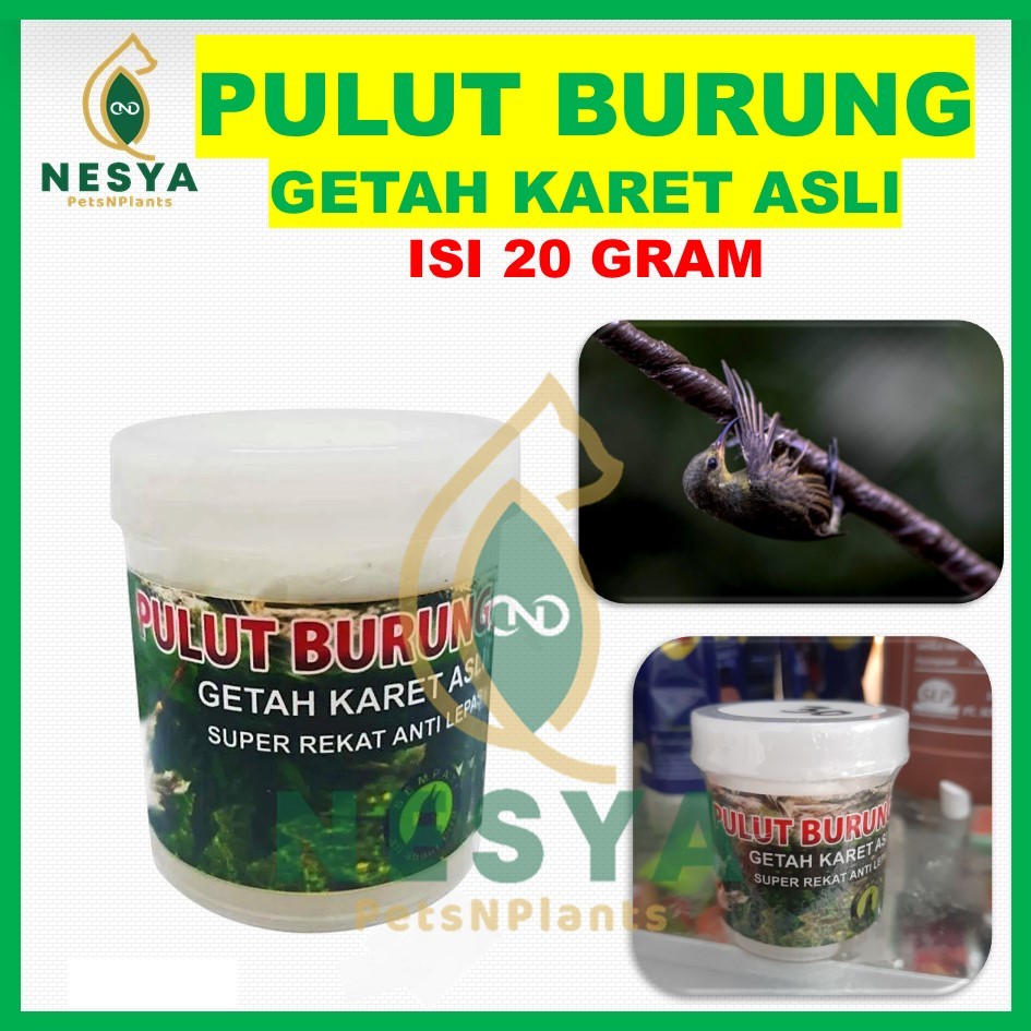 Jual Pulut Burung 20cc Isi Getah Karet Asli Pulut Burung Viral Lem ...