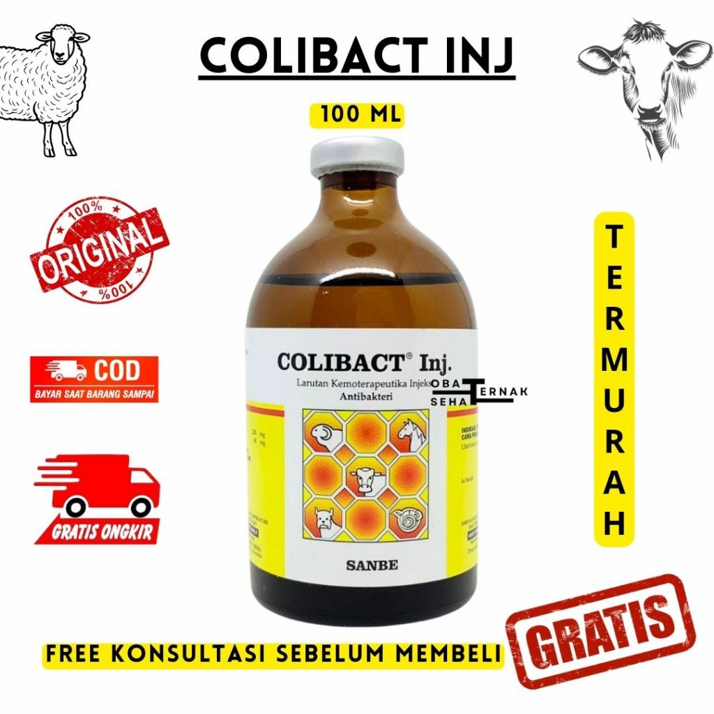 Jual COLIBACT 100 ml - Obat Mencret Diare Sapi Kambing Domba | Shopee ...