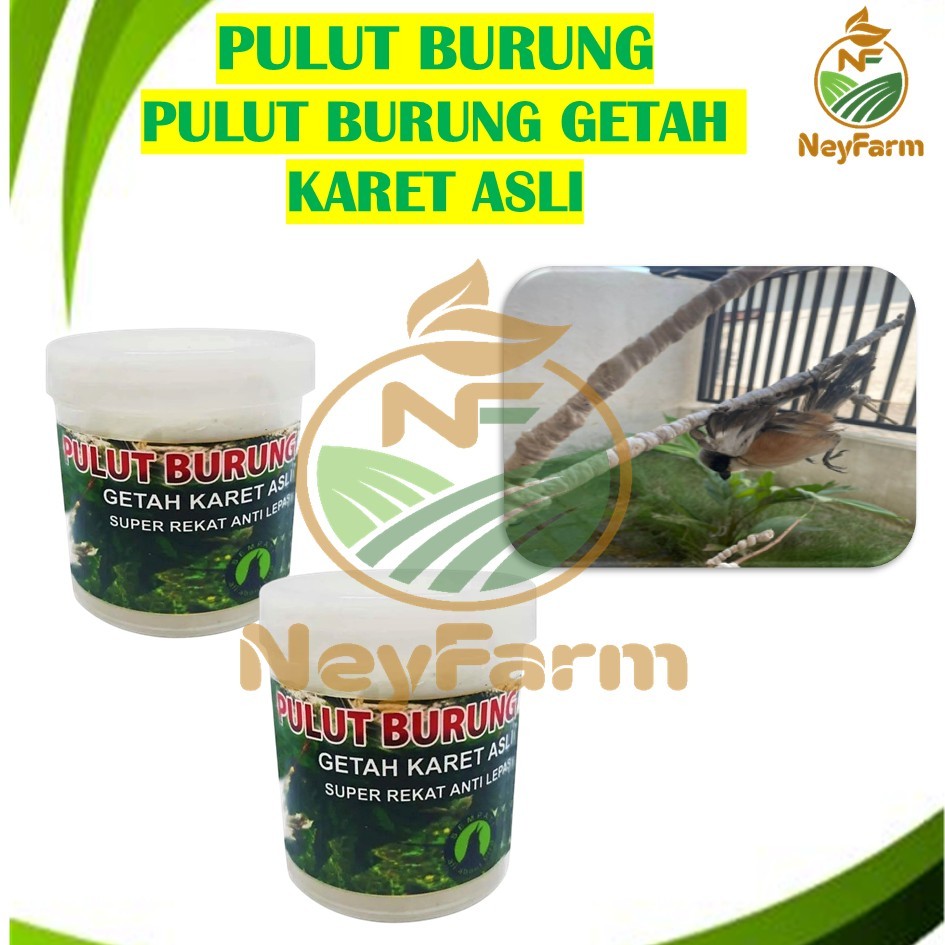 Jual Pulut Burung 20cc Isi Getah Karet Asli Pulut Burung Viral Lem ...