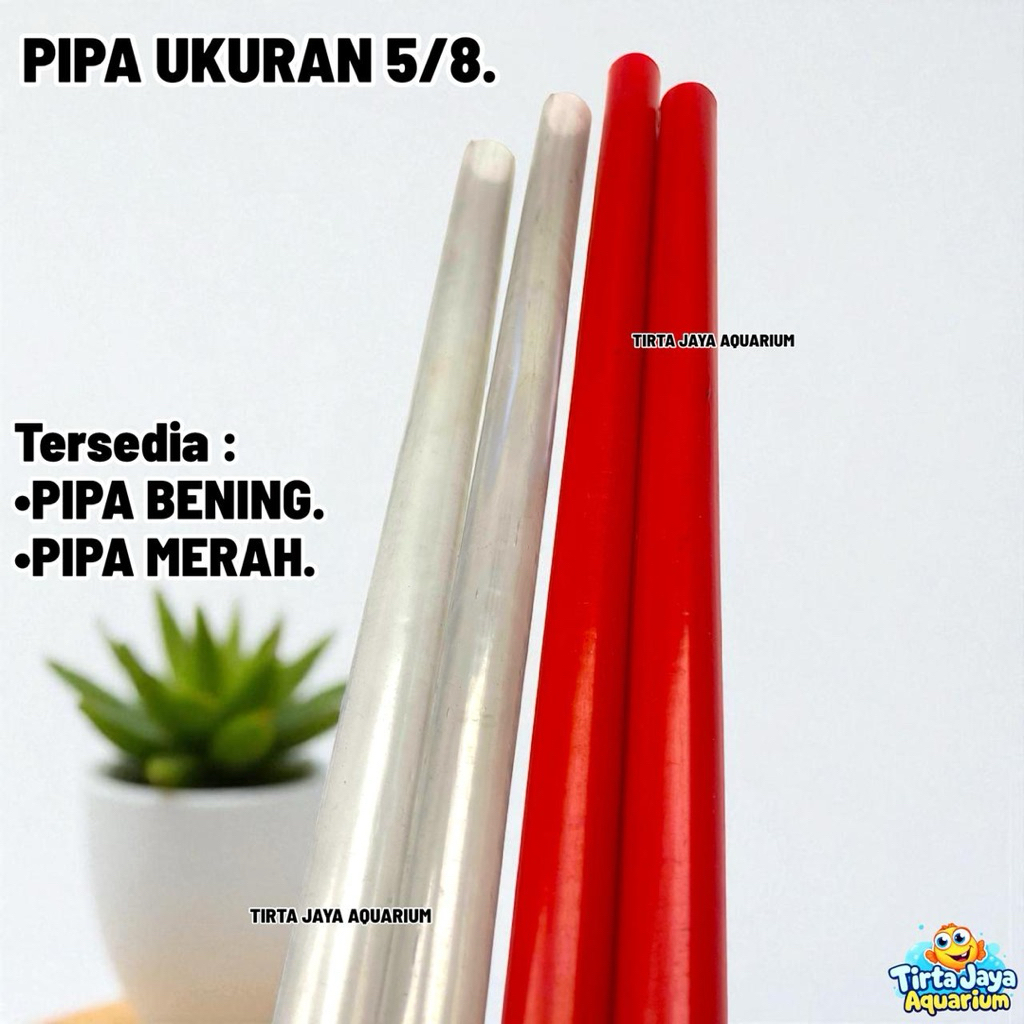 Jual PIPA PRALON MERAH & BENING PANJANG 50 CM UKURAN 5/8 FILTER ...