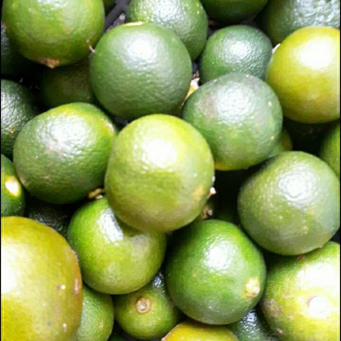 Jual Jeruk Sonkit Kasturi Calamansi Lemon Cina Son Kit Sengkit SonKit Kalimantan Bulat Buah ...