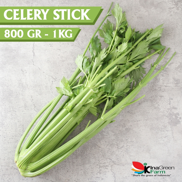 Jual Inagreen Farm Bandung Seledri Batang Besar / Celery Stick | Shopee ...