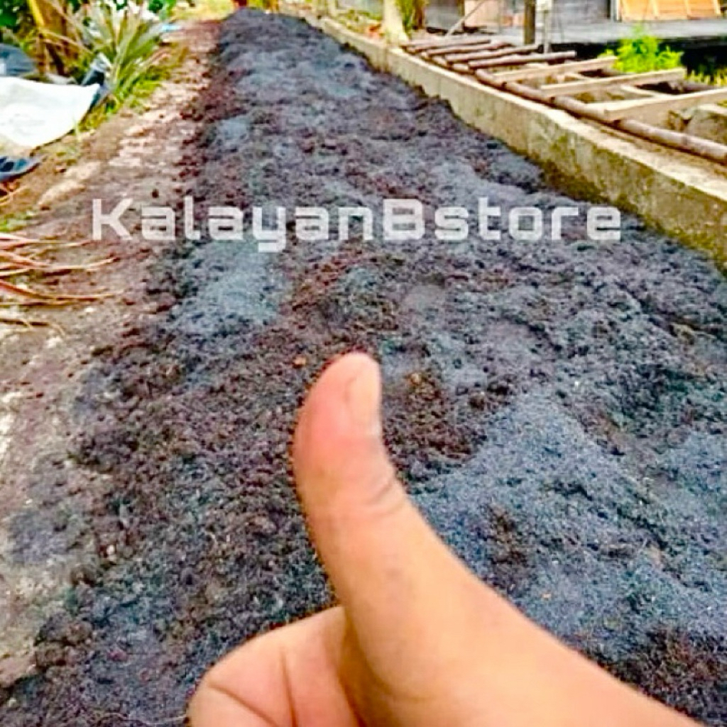 Jual PAKET MEDIA TANAM COCOPEAT & SEKAM HITAM | Shopee Indonesia
