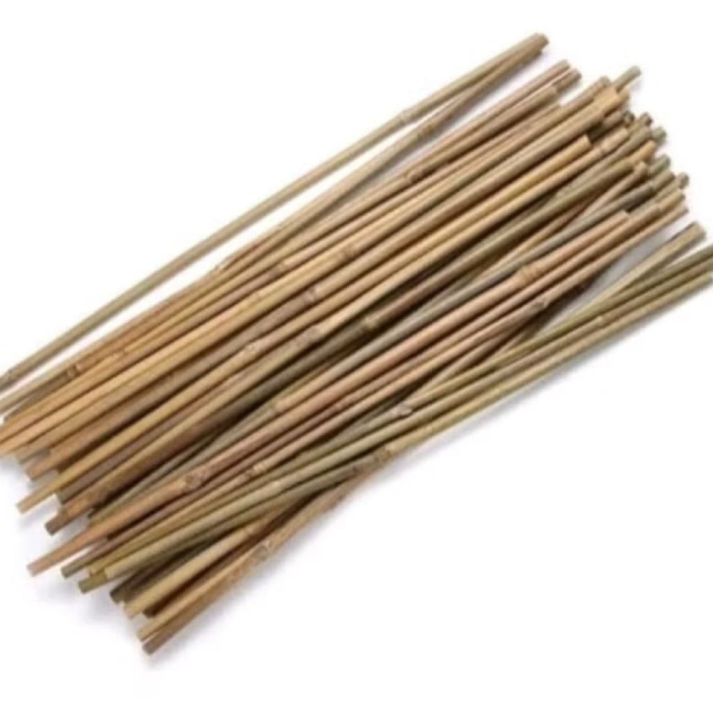 Jual Ranting Bambu Kering Ramah Lingkungan Untuk Berkreasi Isi 10 Pcs ...