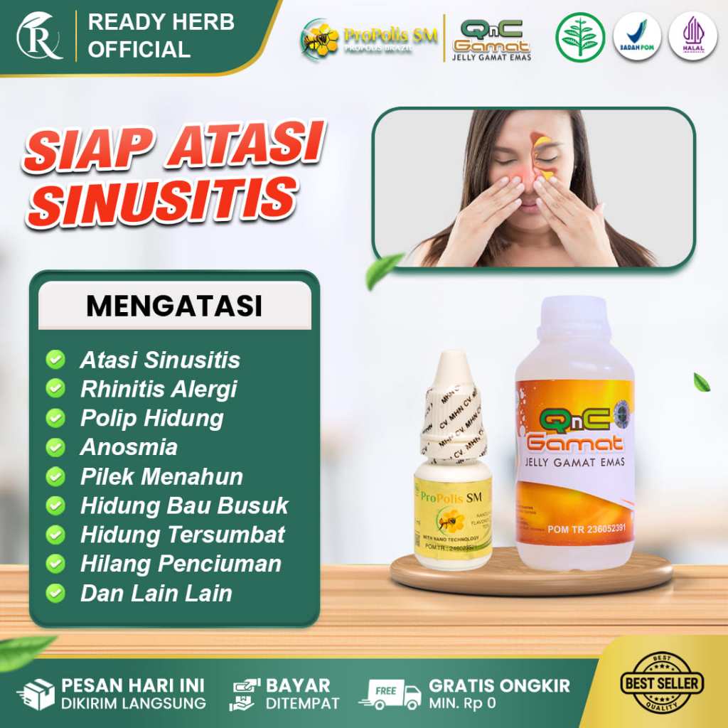 Jual Obat Sinusitis Rhinitis Polip Hidung Pilek Menahun Hidung ...