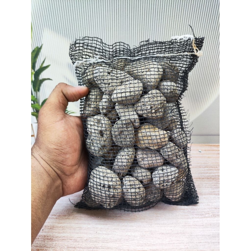 Jual Batu Apung Kemasan 500 Gram Plus Kantong Waring Batu Apung Pumice ...