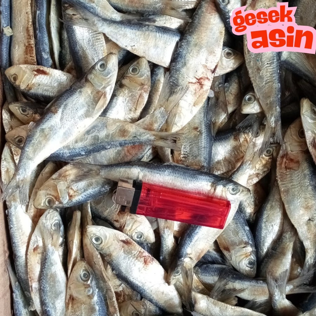 Jual ikan asin tanjan kering gurih enak dan nikmat praktis untuk lauk ...