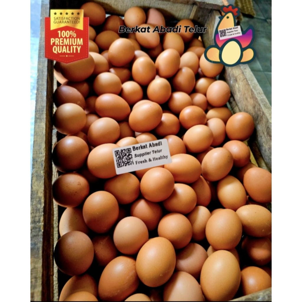 Jual Telur Ayam Negri Lokal Premium per ikat 15,5kg Gross | Shopee ...