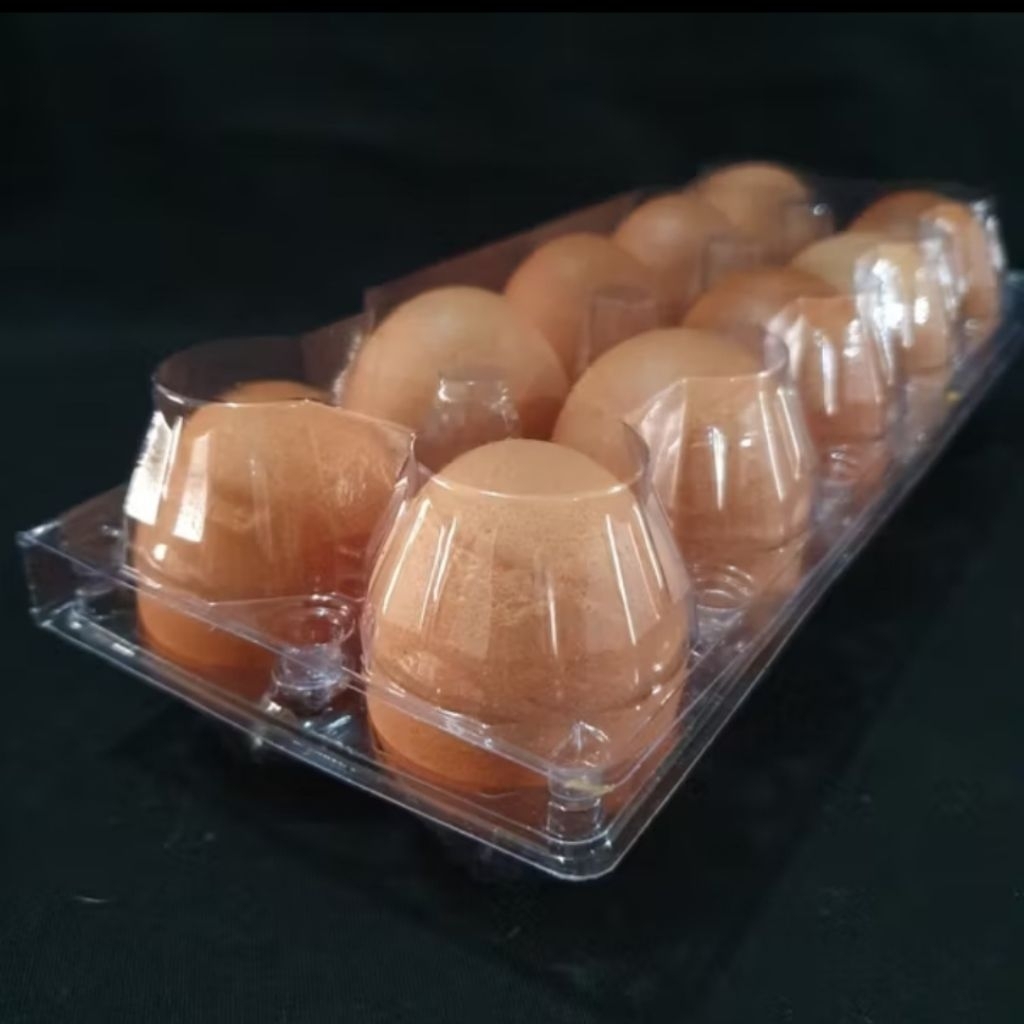 Jual Mika Telur Ayam Negeri Omega 10 Lubang Pengunci Kancing 0.35mm ...