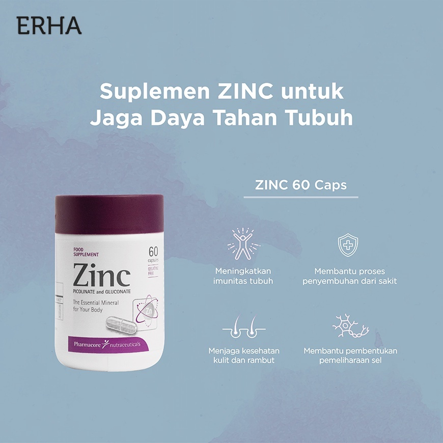 Jual Zinc plus BOTOL / zincplus Erha perbox isi 60 capsul | Shopee ...