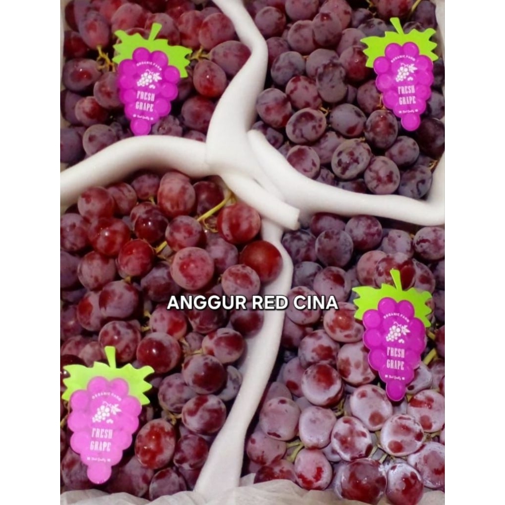 Jual ANGGUR RED GLOBE RRT | Shopee Indonesia