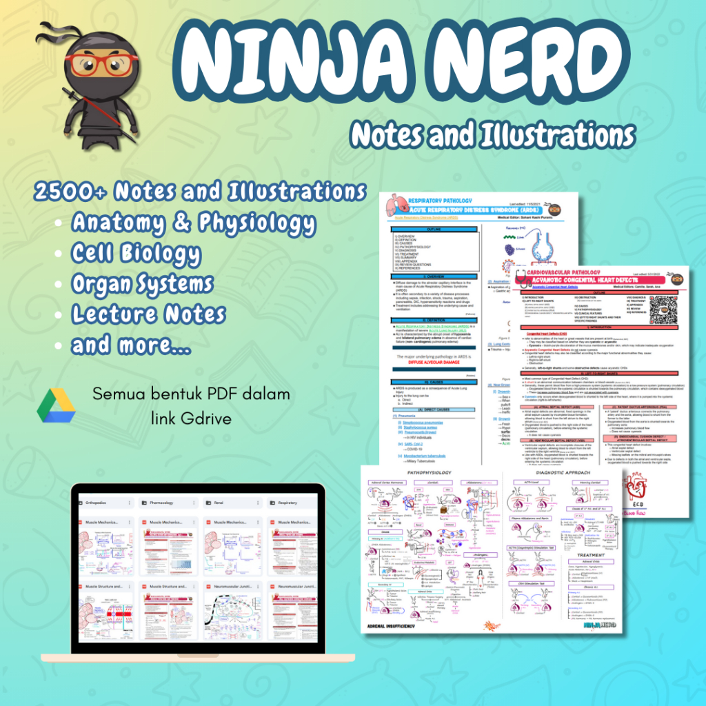 Jual Ninja Nerd Notes and Illustration | Shopee Indonesia