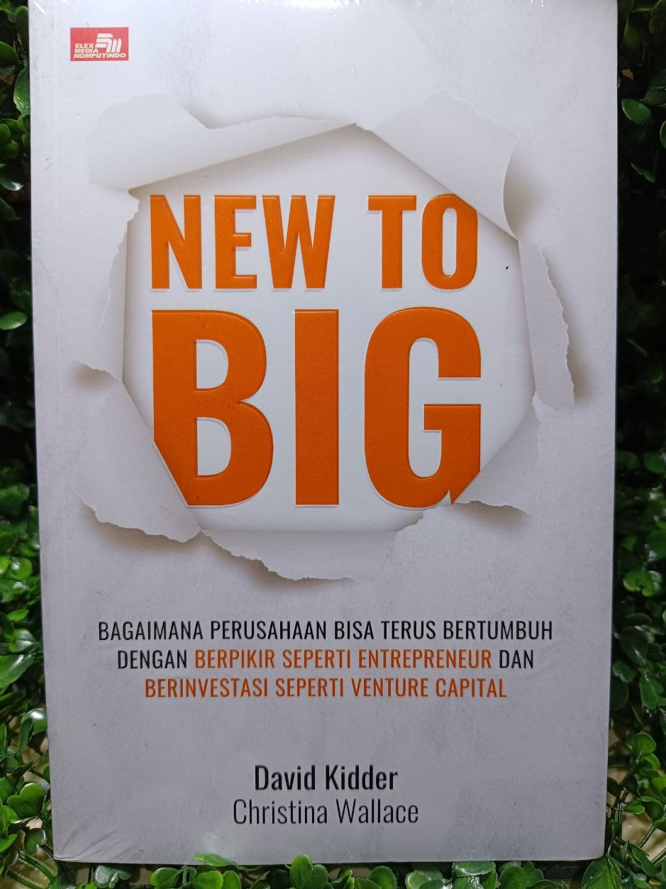 Jual buku new to BIG - David Kidder - Christina Wallace | Shopee Indonesia