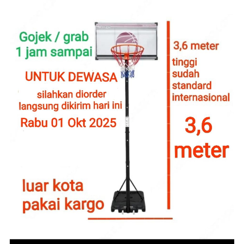 Jual BERWYN RING BASKET PORTABLE UNTUK REMAJA DAN DEWASA BISA DIATUR ...
