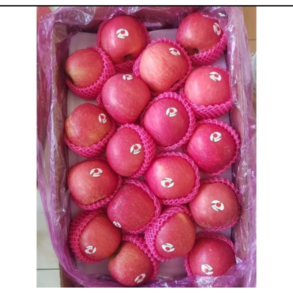Jual Apel fuji premium 1 kg | Shopee Indonesia