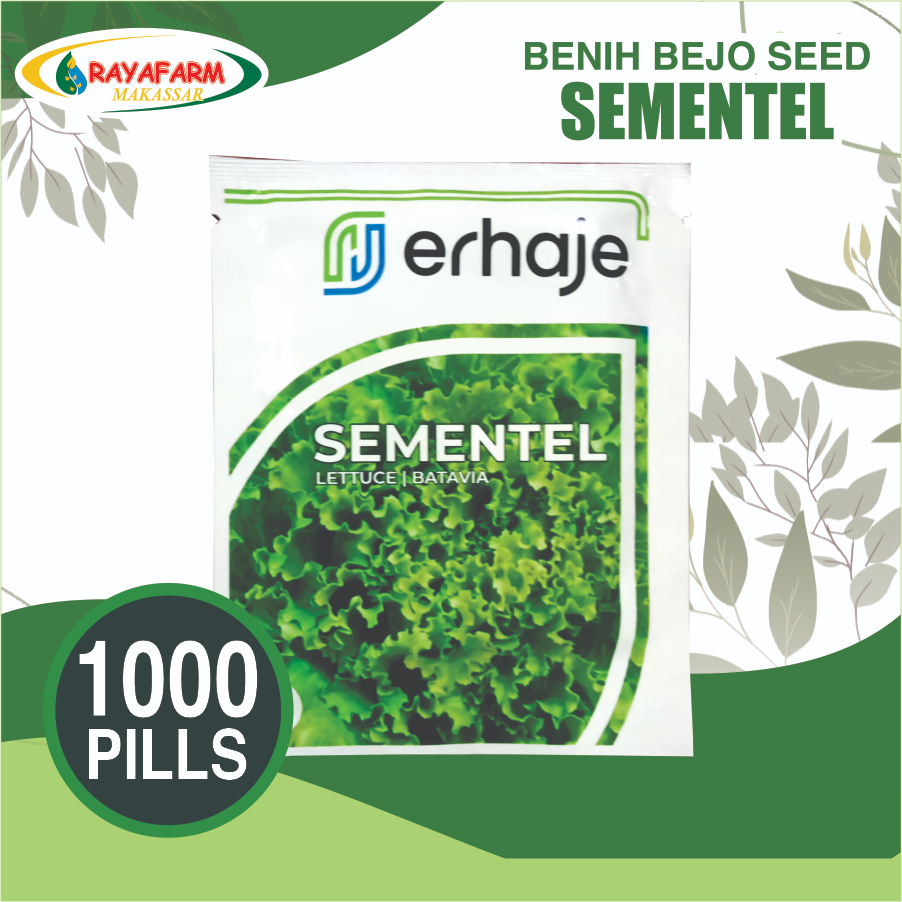 Jual BENIH SELADA SEMENTEL 1000 PILL - BEJO SEED | Shopee Indonesia