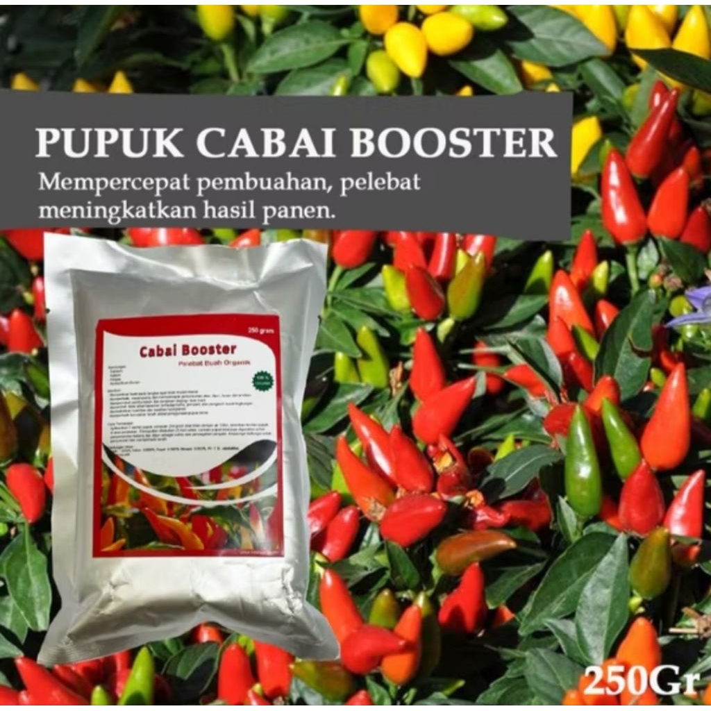 Jual Pupuk Cabai Booster pelebat buah organik Pupuk Cabe Original ...